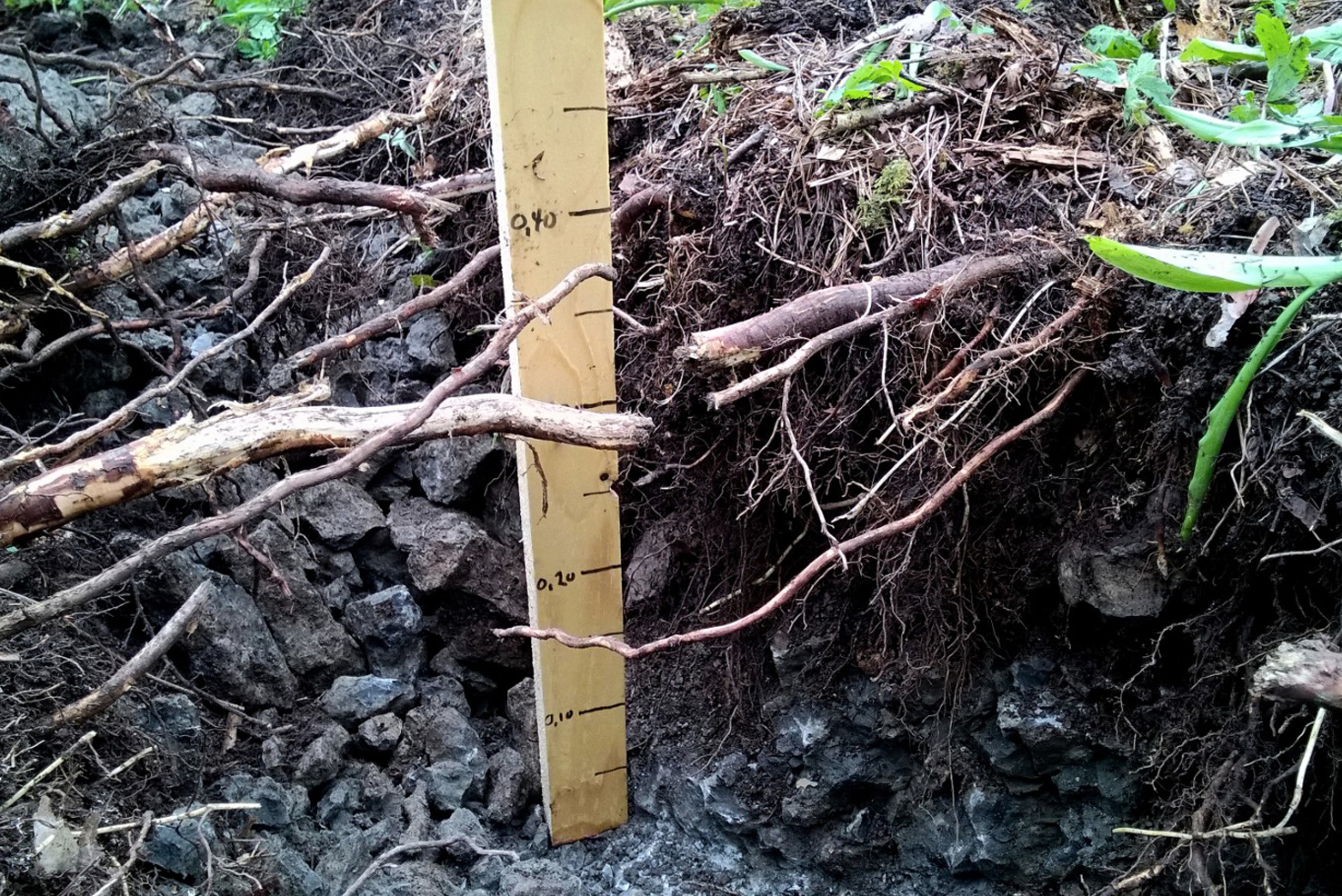 The memorial ‘’ Lysningen – The Clearing ’’ at Utøya is breaking ground ...