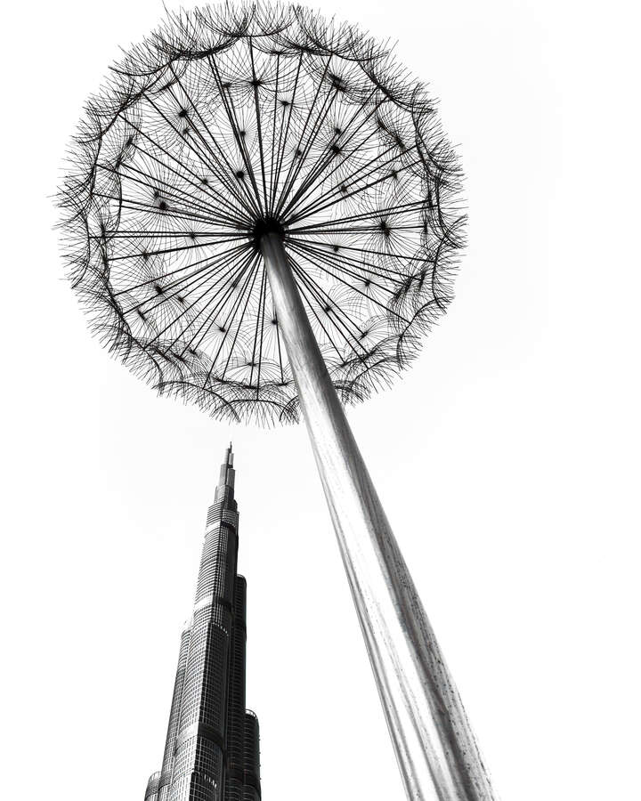 Explore Dubai - Nature over Architecture by Mimo Khair | Artscoops