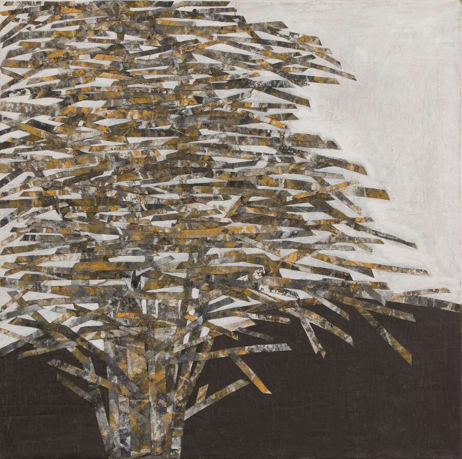 Experience Cedars by Georges Merheb | Artscoops