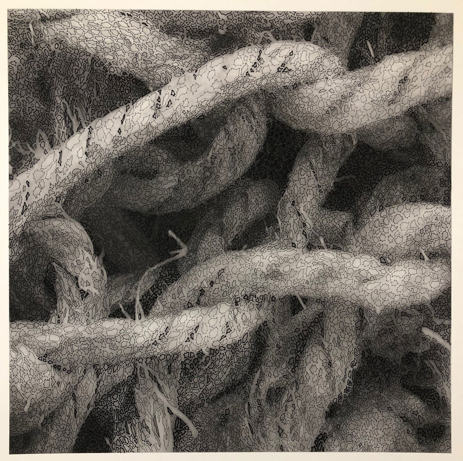 Experience We're All Just a Link in the Chain by Sharon Kagan | Artscoops