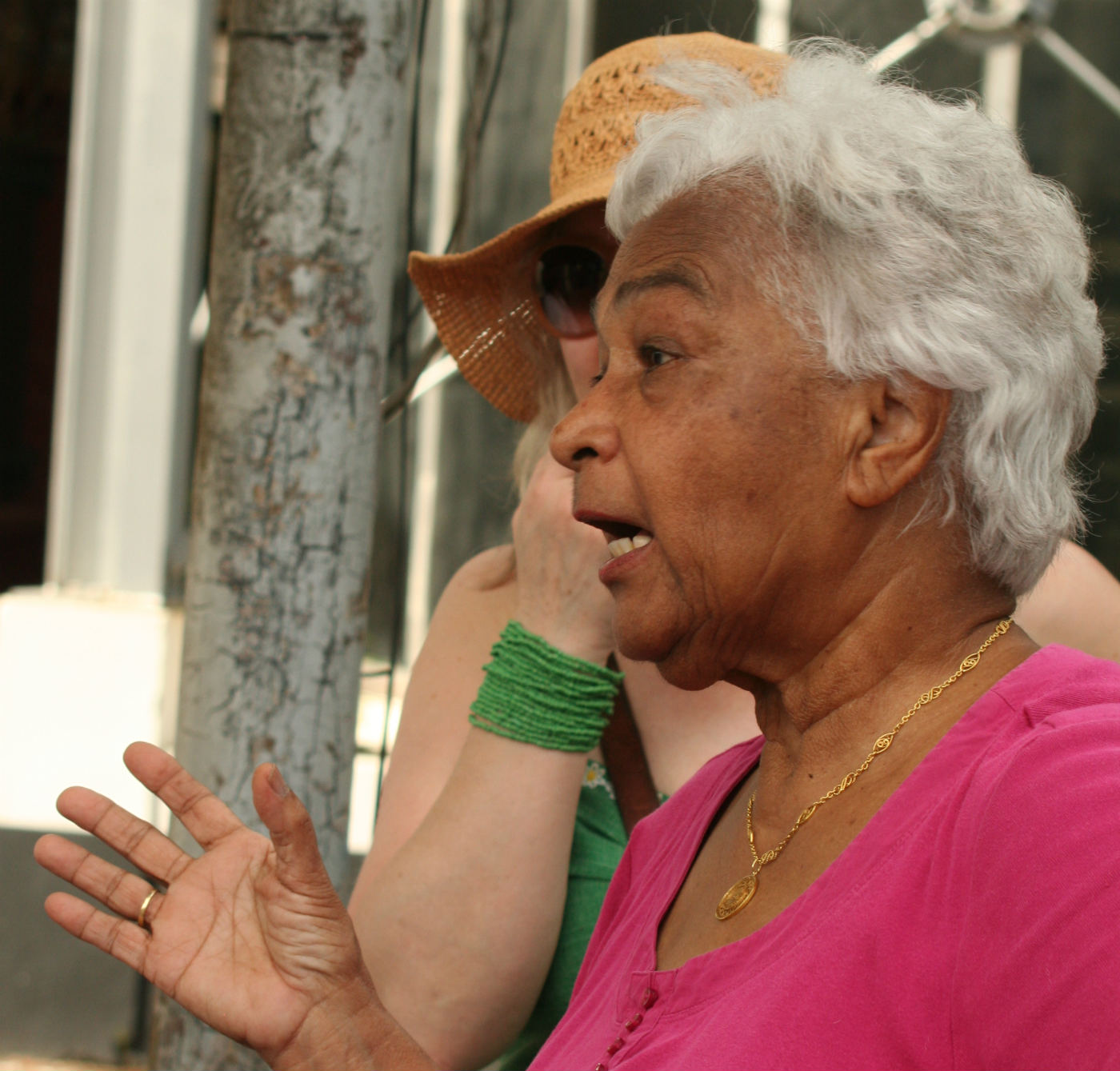 Elisabeth Samson huis en Cynthia McLeod | Kennis