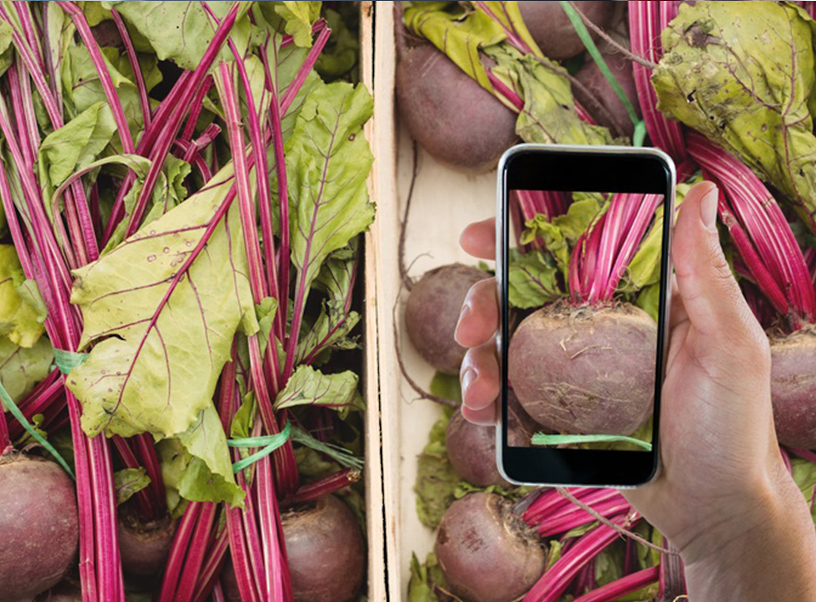 Digital Food: Innovative Konzepte auf dem Vormarsch | Bestswiss