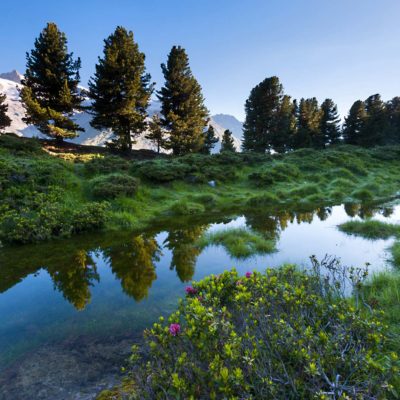 Produkte aus Arvenholz | Bestswiss