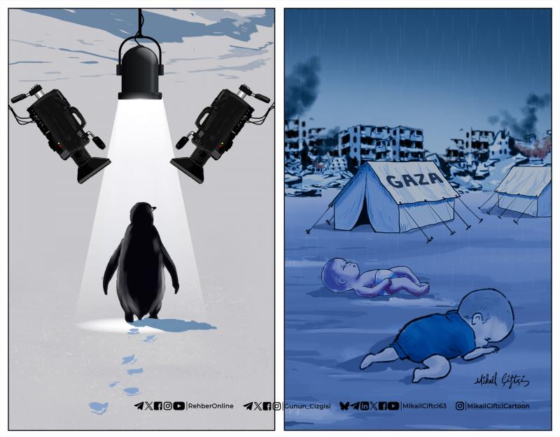 Freedom in America | Cartoon Movement