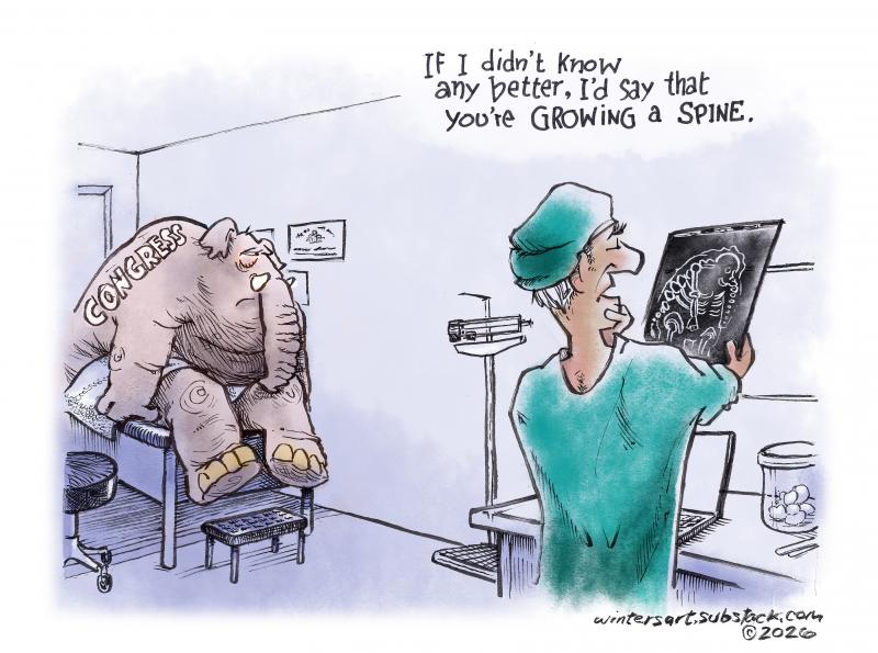 Backbone | Cartoon Movement