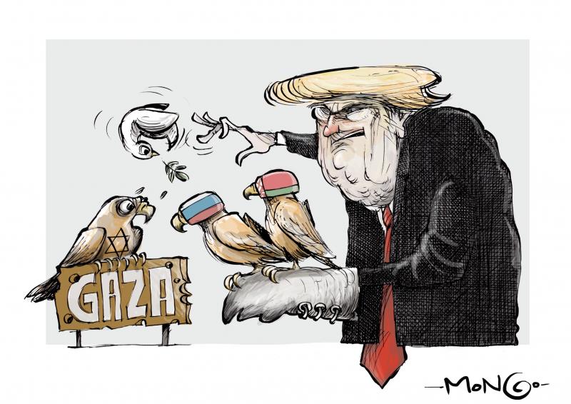 Halcón de halcones | Cartoon Movement