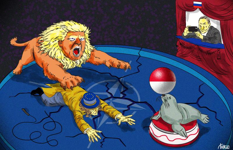 Avalanche | Cartoon Movement