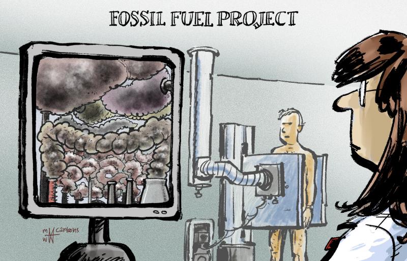 Dead or alive | Cartoon Movement