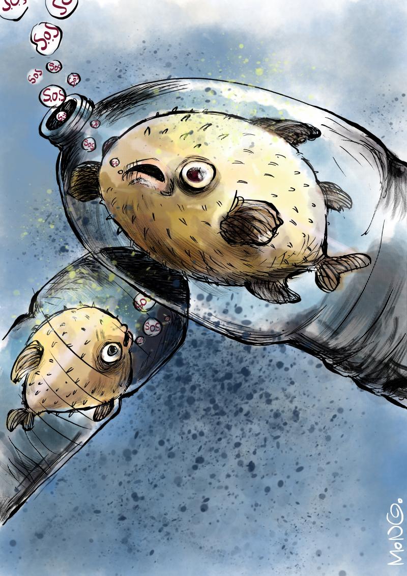 Socorro | Cartoon Movement