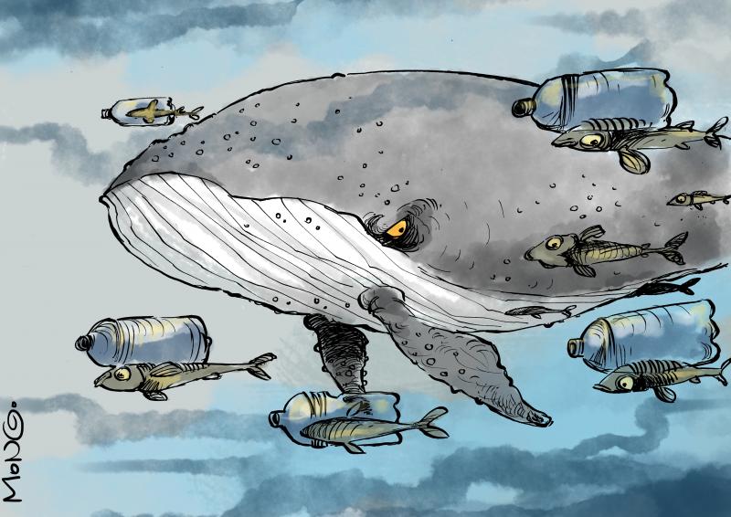 Socorro | Cartoon Movement