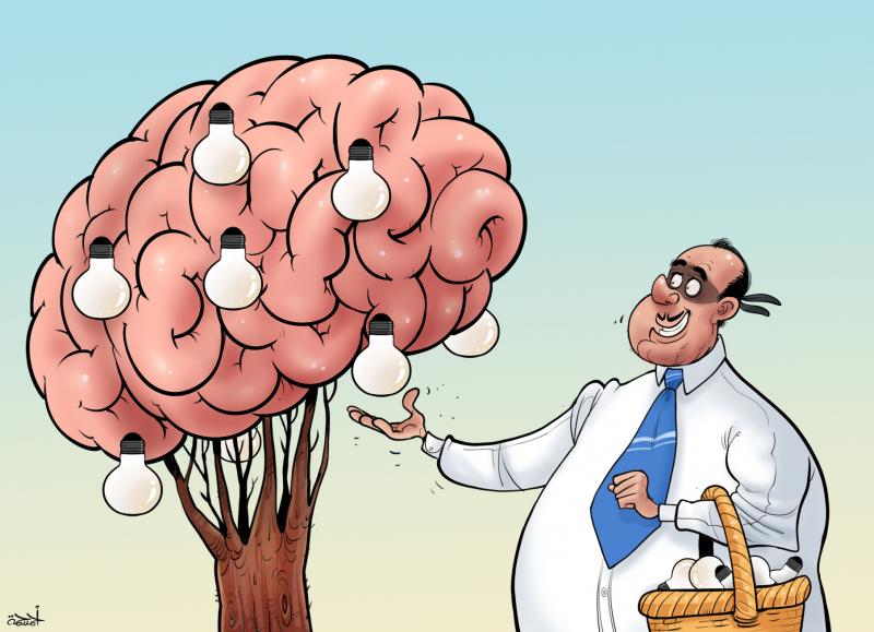 Into the unknown | Cartoon Movement