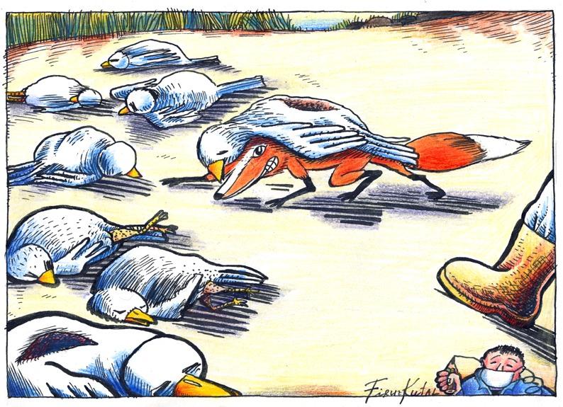 Bird flu can be transmitted from animals to humans. | Cartoon Movement