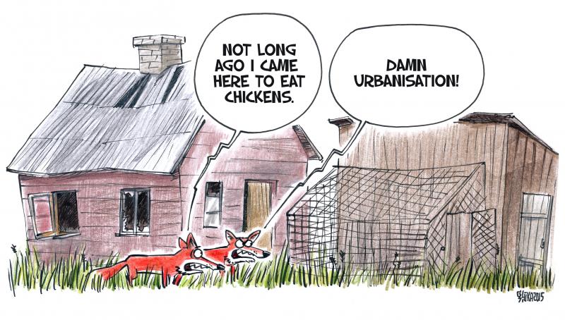 Urbanisation | Cartoon Movement