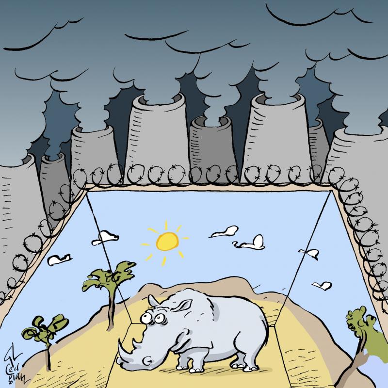 The reserve | Cartoon Movement