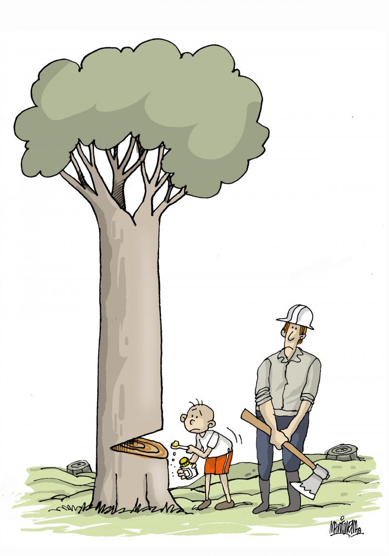 Cutting Trees Animated