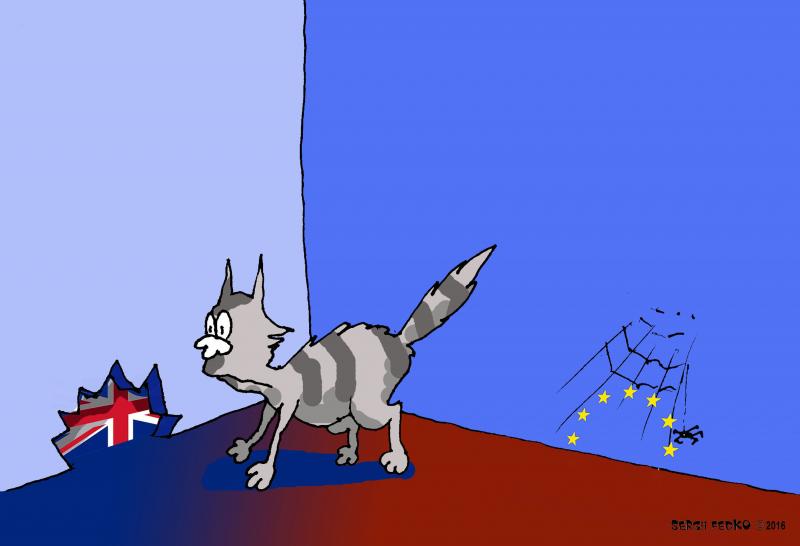 Selection | Cartoon Movement