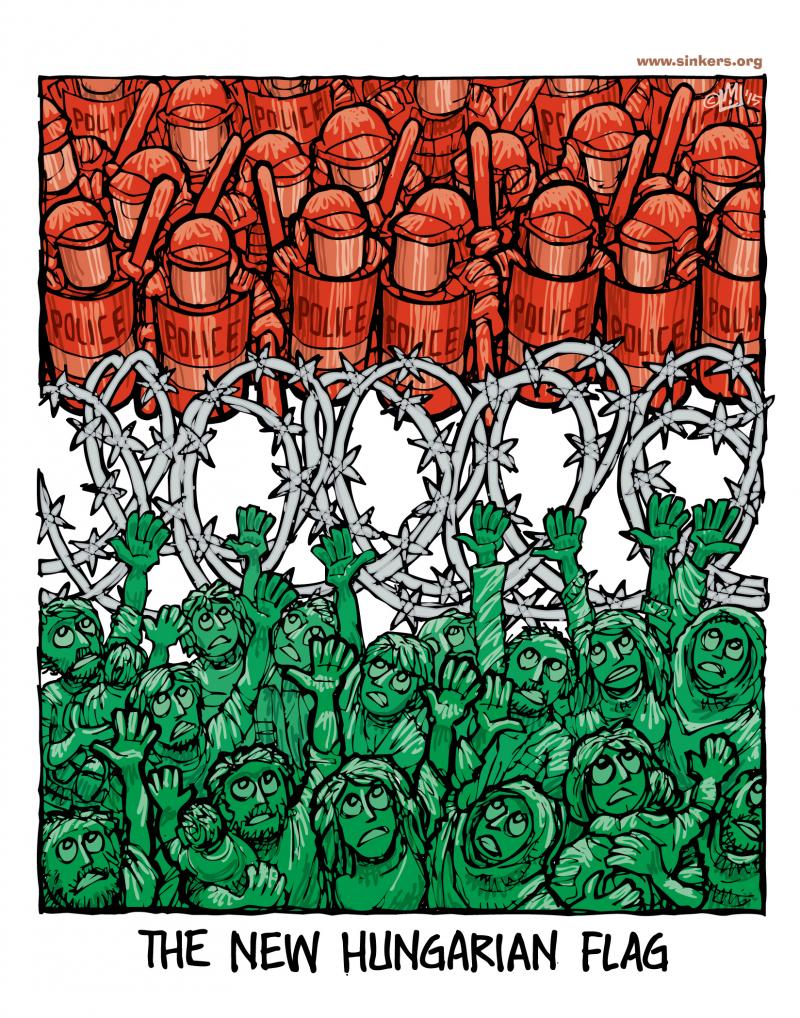 The New Hungarian Flag | Cartoon Movement