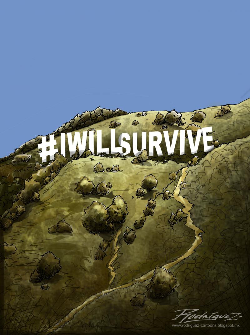 " I Will Survive" | Cartoon Movement