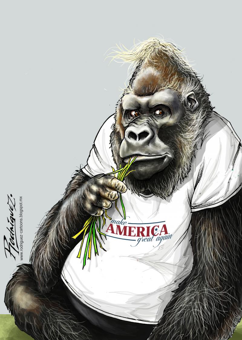 "The New Age " | Cartoon Movement