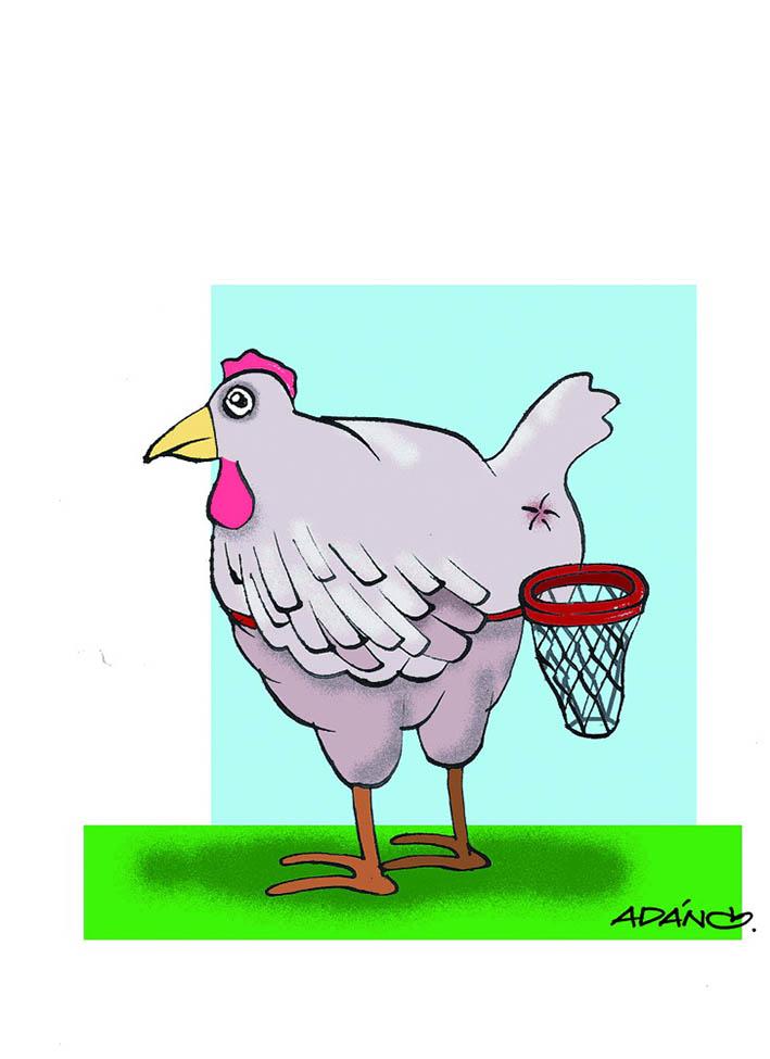 Protective hen | Cartoon Movement