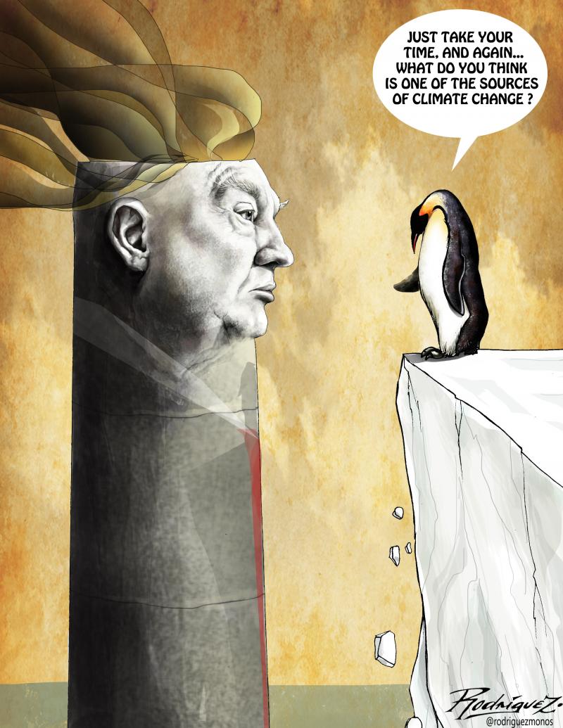 "Slow Learner" | Cartoon Movement