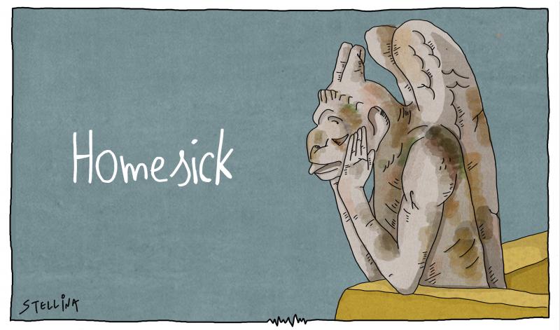 Homesick | Cartoon Movement