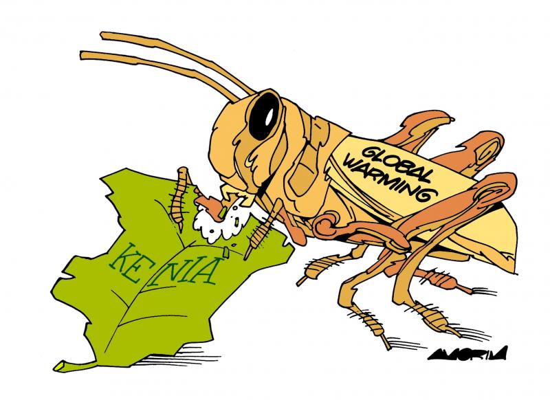 Locusts swarm into Kenya | Cartoon Movement