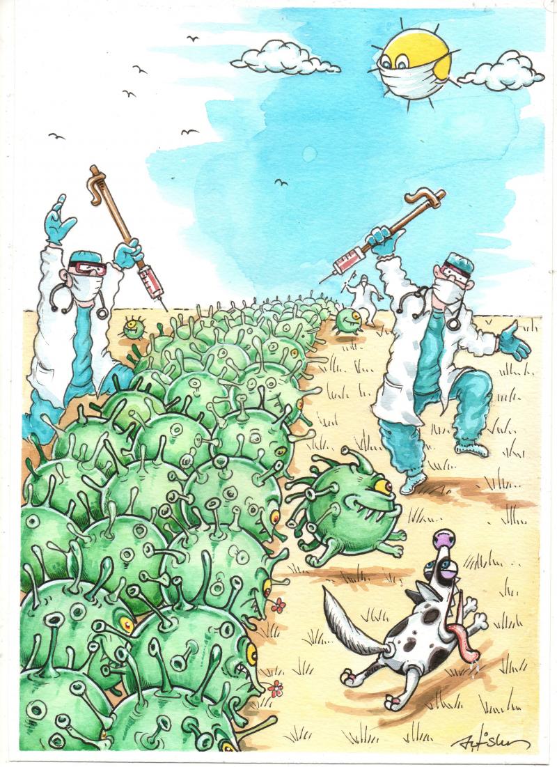 Huge and dangerous flock. | Cartoon Movement