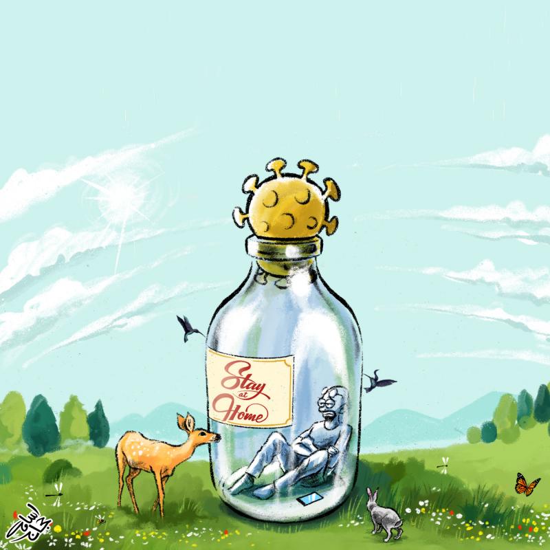 A lesson for everything | Cartoon Movement