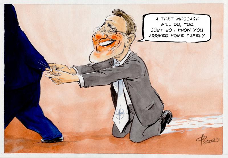 InSight | Cartoon Movement