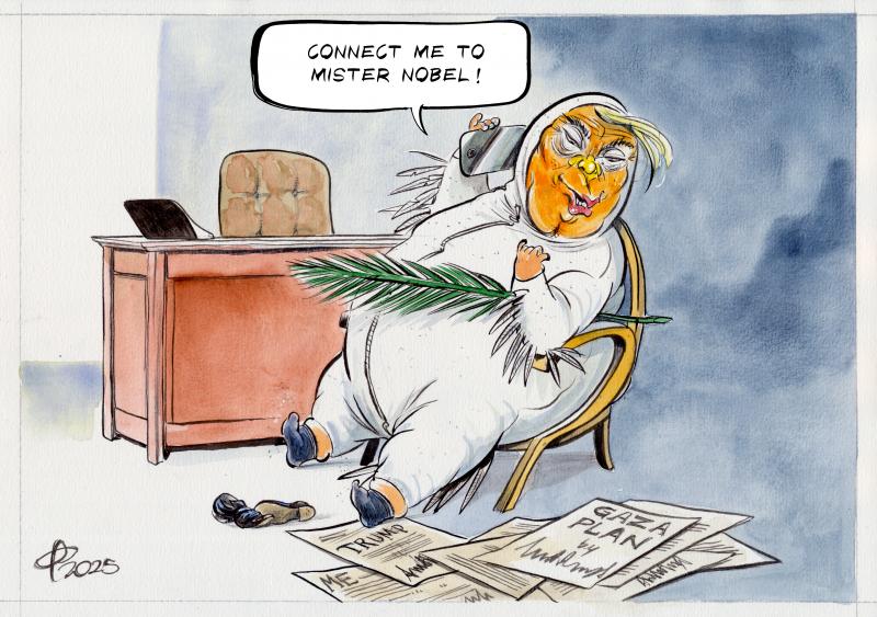 Donnie Peace Dove | Cartoon Movement