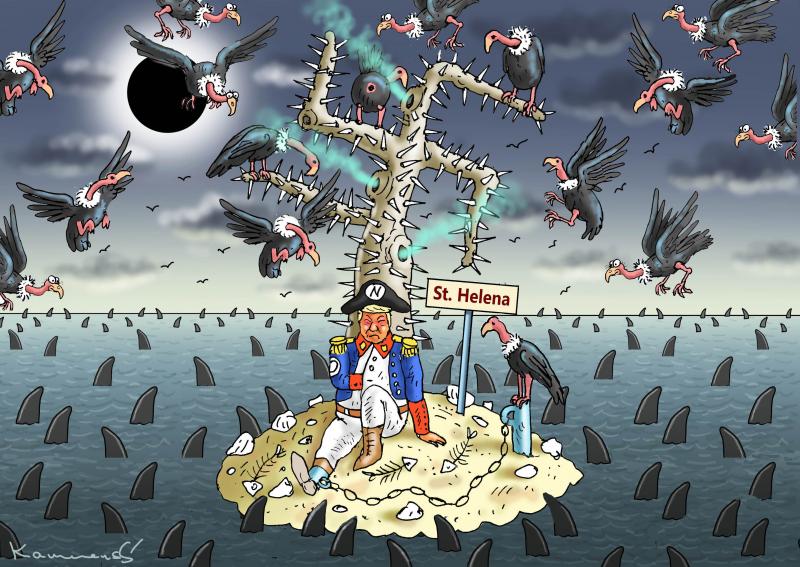 DONALD NAPOLEON EXILED | Cartoon Movement