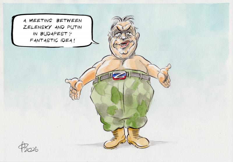 Scalp | Cartoon Movement