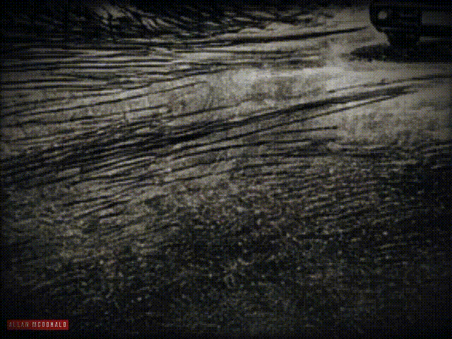 The distribution | Cartoon Movement