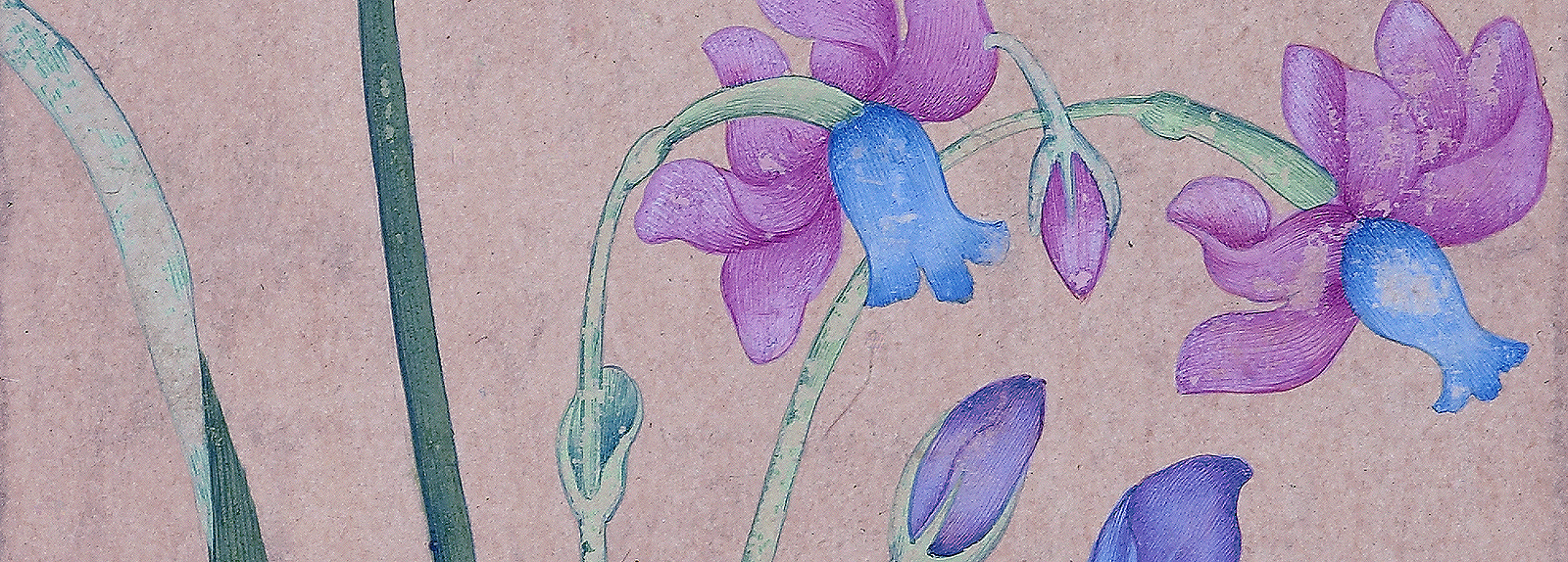 Museu Calouste Gulbenkian