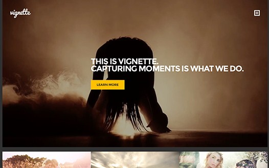 CSS Igniter Vignette WordPress Theme 1.7 - Club WPress