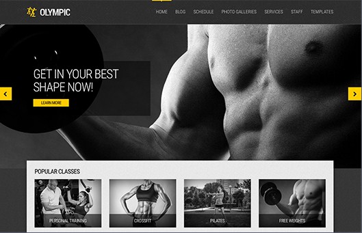 CSS Igniter Olympic WordPress Theme 1.5 - Club WPress