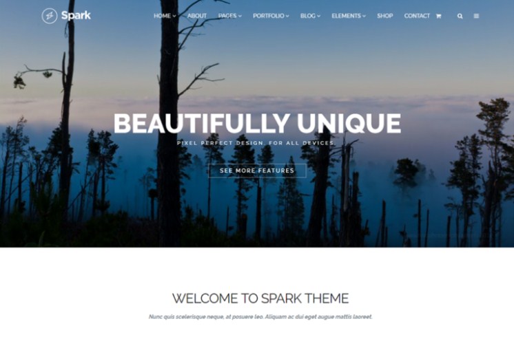 VisualModo Spark WordPress Theme 5.0.6 - Club WPress