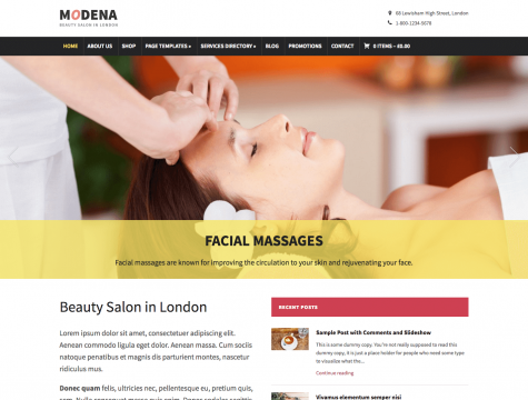 WPZOOM Modena 1.1.8 - Club WPress