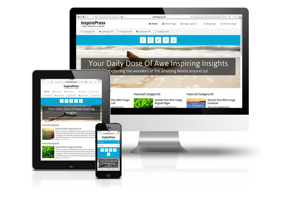Dynamik Skin InspirePress 1.0 - Club WPress