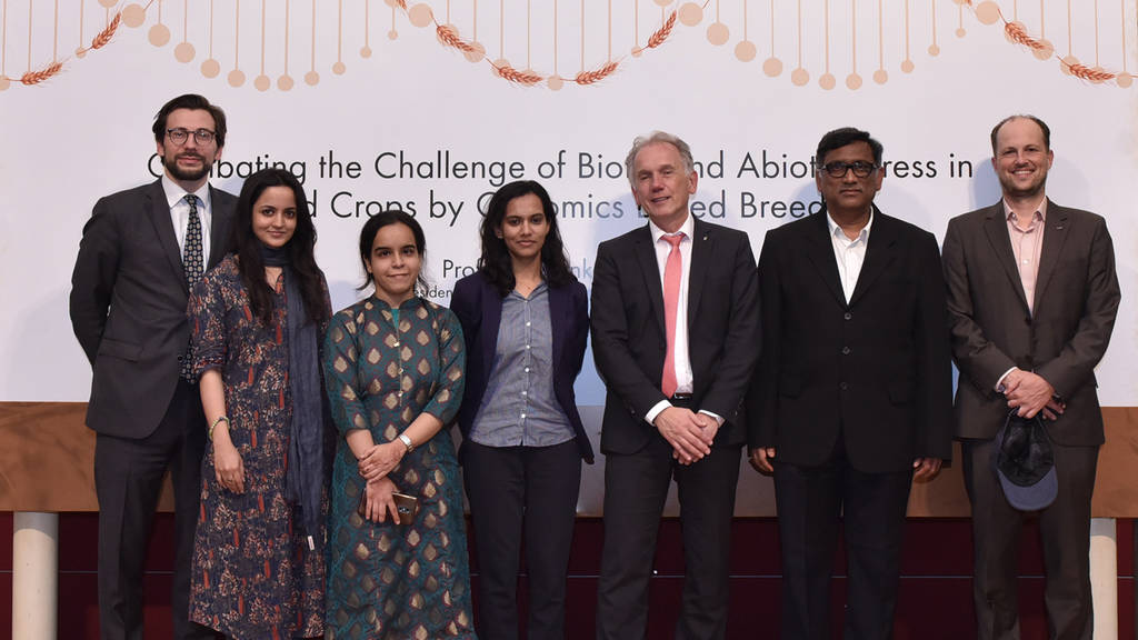 DWIH Annual Report 2019