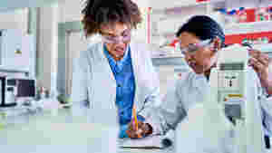 DWIH Annual Report 2020