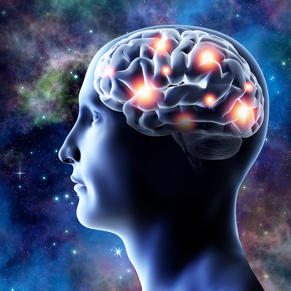 Your health is in your head: 10 surprising human brain facts - Eco ...