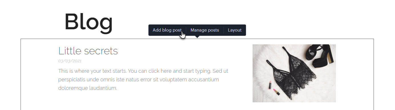 How to Manage Your Blog | Webnode Support