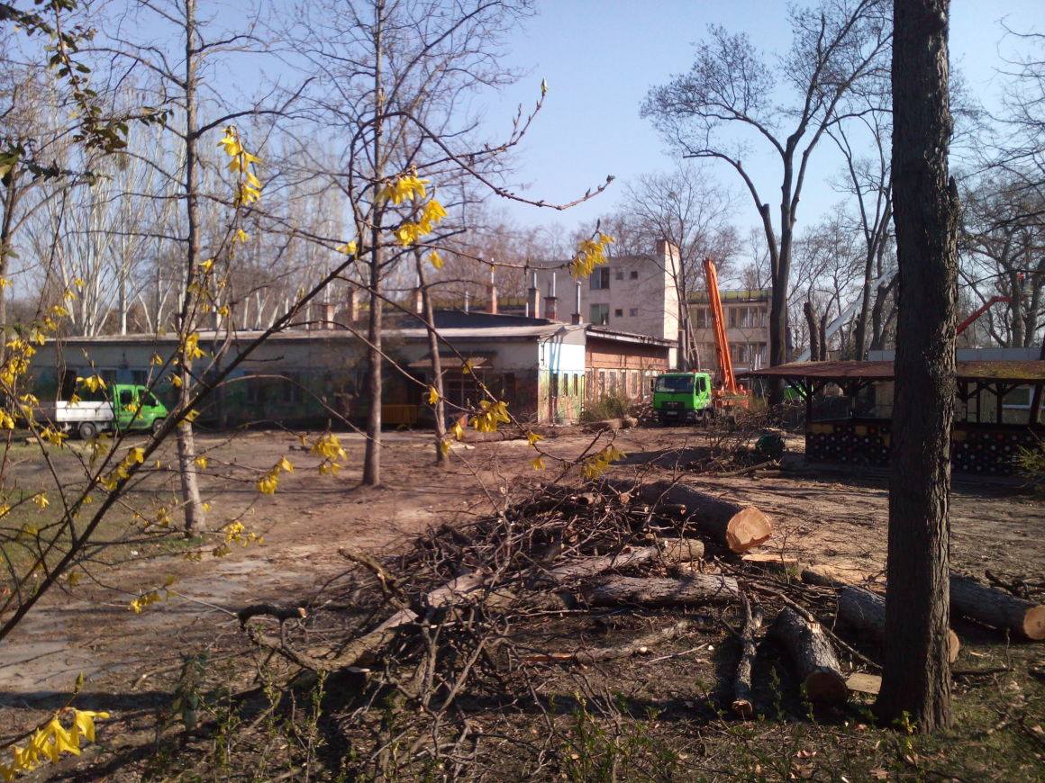 A tények makacs dolgok, nem nőtt a városligeti zöldfelület – Greenfo