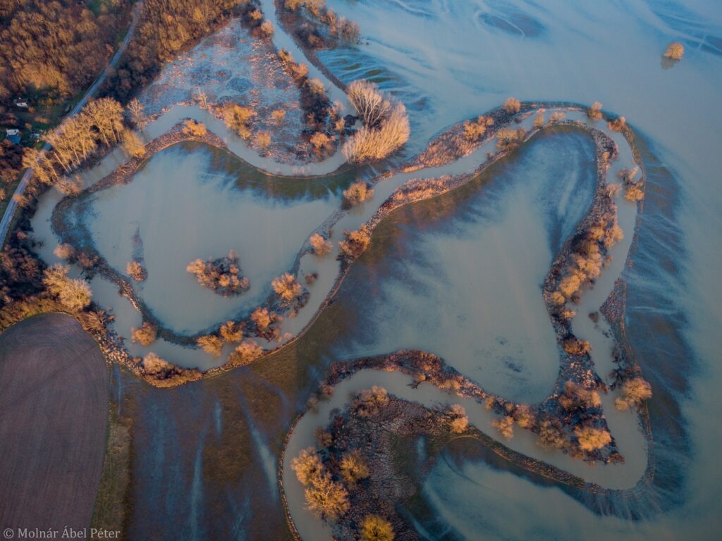 Mesés látvány az ezernyi ágra szakadt áradó Ipoly - Greenfo