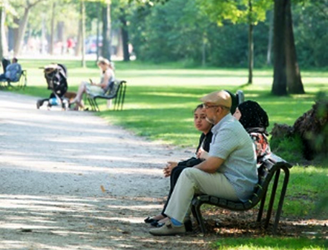 A növények és jótékony hatásaik az emberi szervezetre – Greenfo