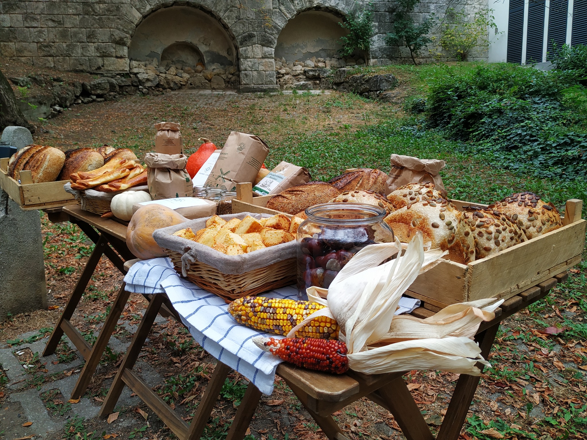 Megérkezett a szibériai rozs és a kövön őrölt hajdinaliszt, hódít a kendermagos kenyér – Greenfo