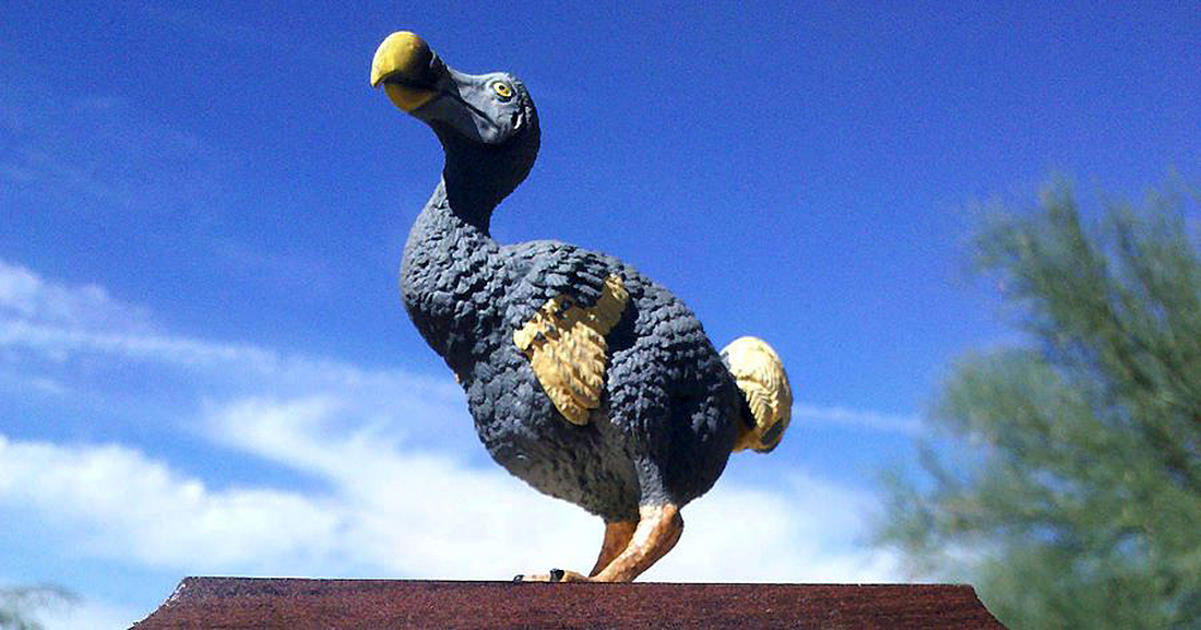 Gumidodó-díj – a Biológiai Sokféleség Központjának elismerése a ...