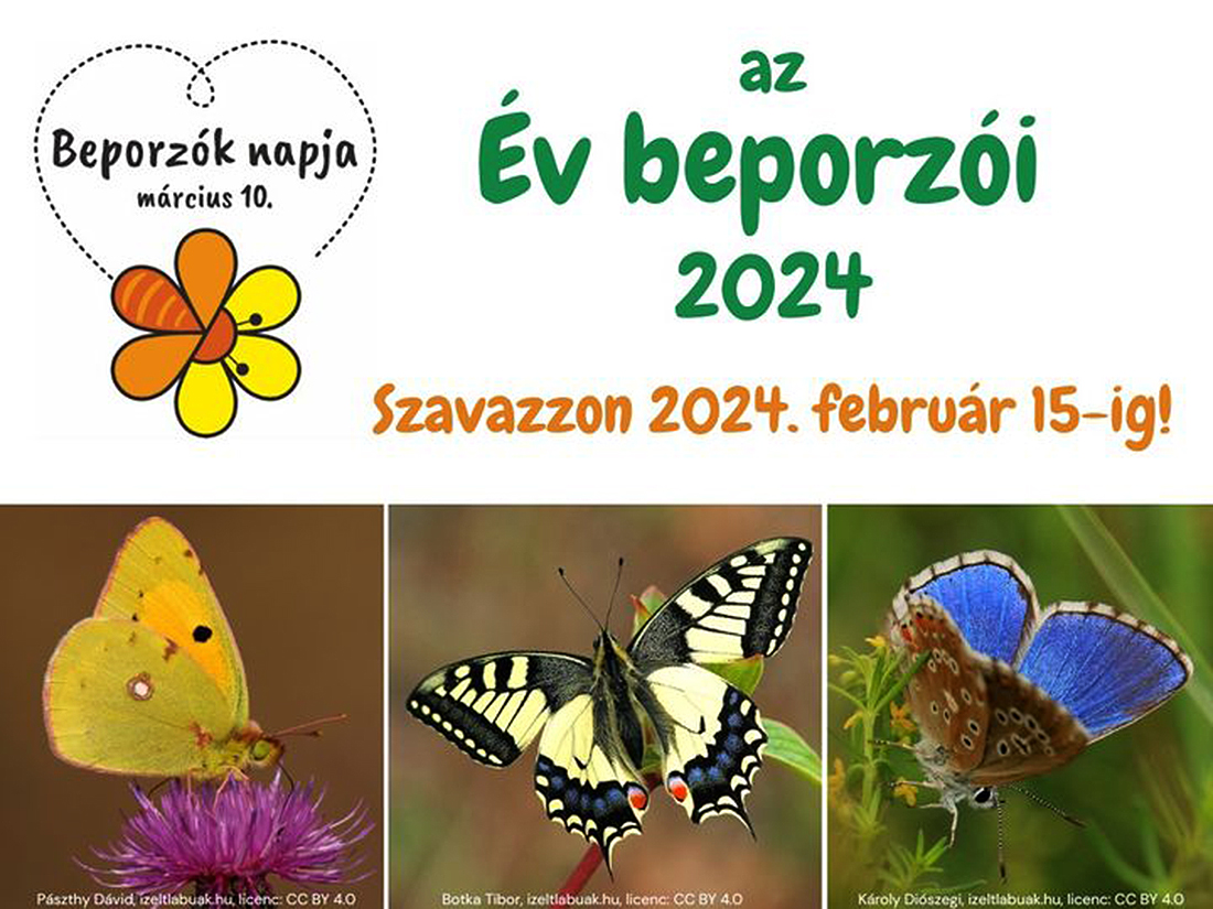 Az Év beporzói 2024 – Greenfo